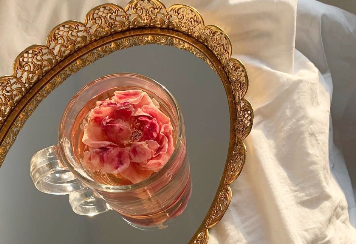 What is a Tisane and How is it Different from True Tea? | The Qi