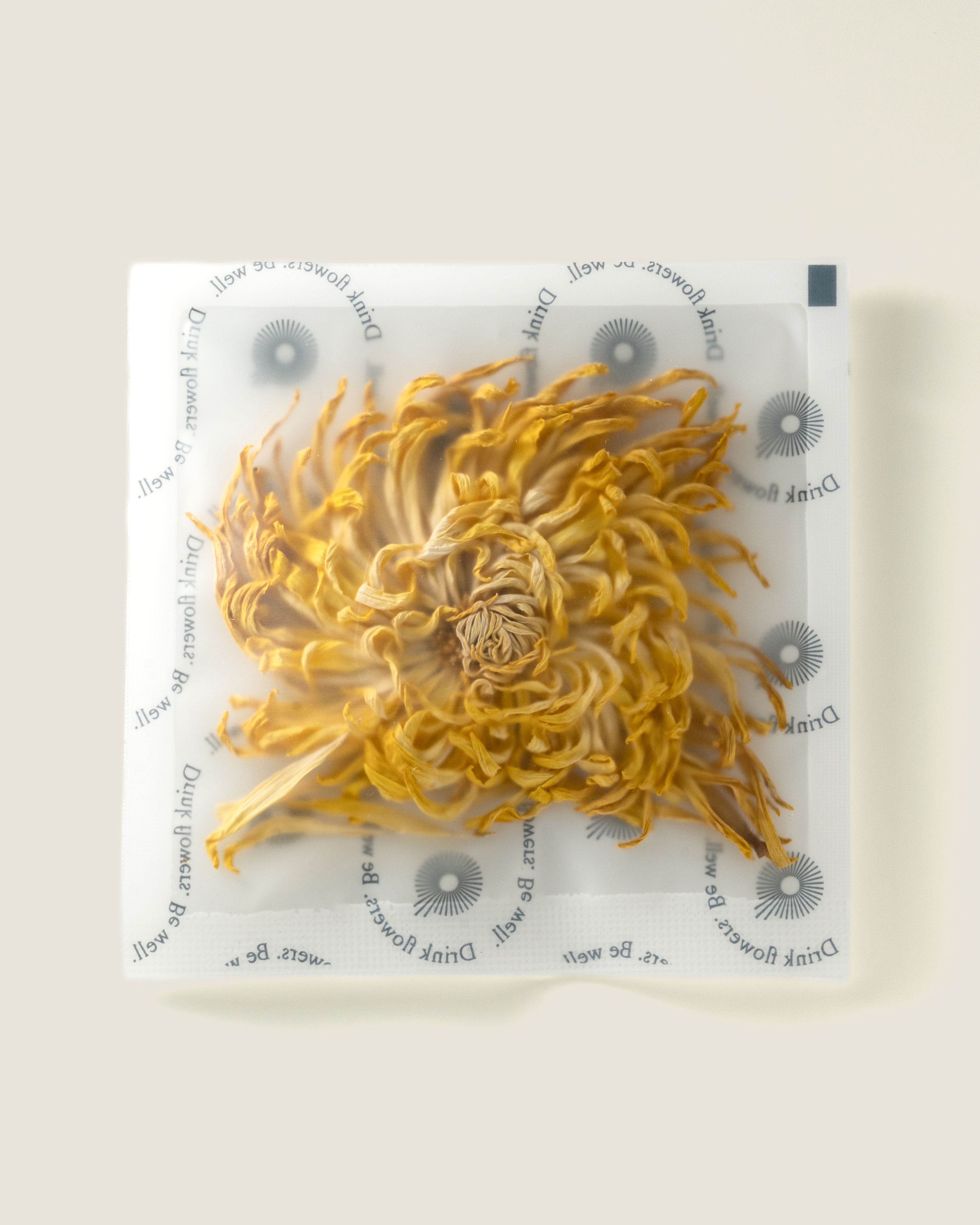 Organic Chrysanthemum Flower Tisane Flowering tea|The Qi