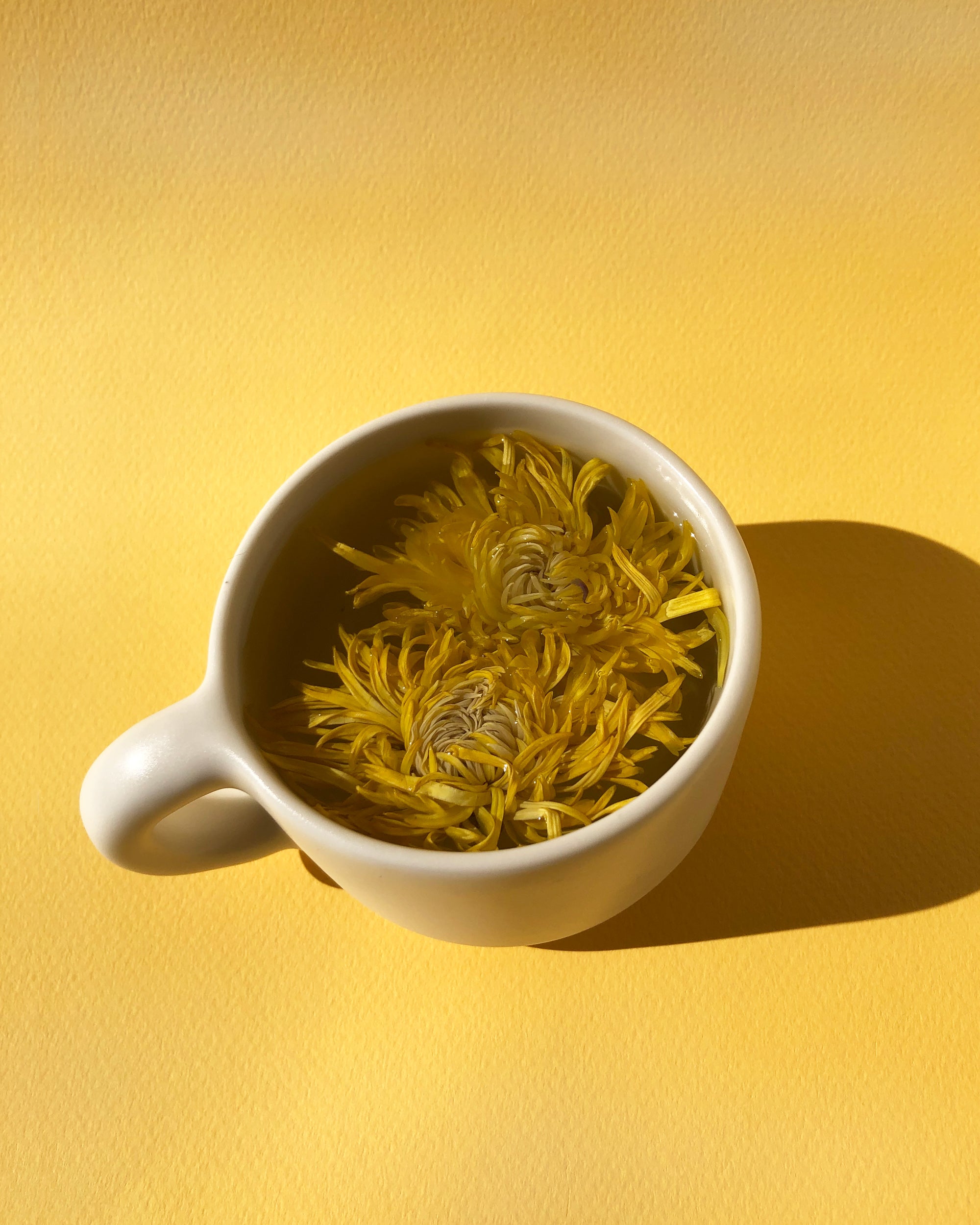 Organic Chrysanthemum Flower Tisane Flowering tea|The Qi